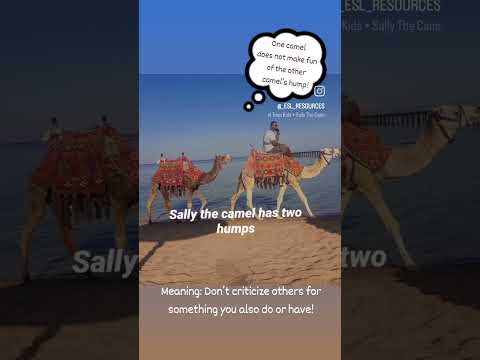Learn English Idioms! "One camel does not make fun of the other camel’s hump!"