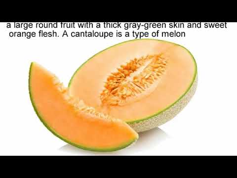 cantaloupe meaning | Vocabulary for Kids | Children's Dictionary | Learn English Vocabulary
