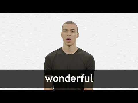 How to pronounce WONDERFUL in American English