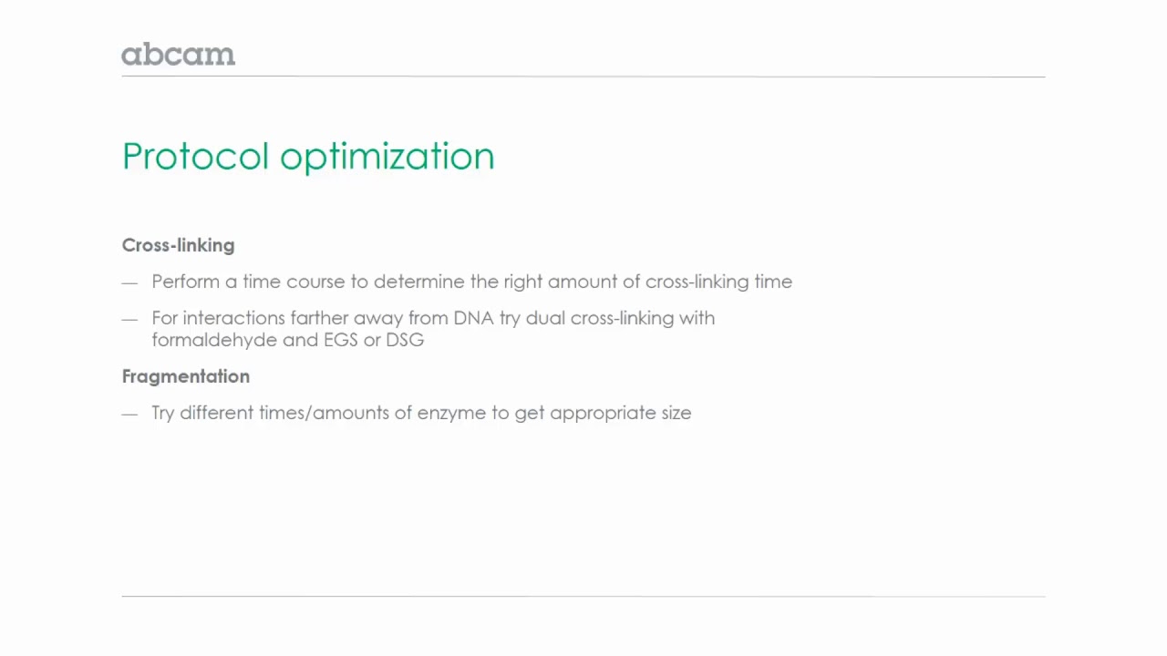 Immunoprecipitation (IP): Protocol optimization
