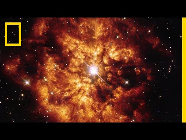 Understanding Stars: The Life Cycle and Classification of Celestial ...