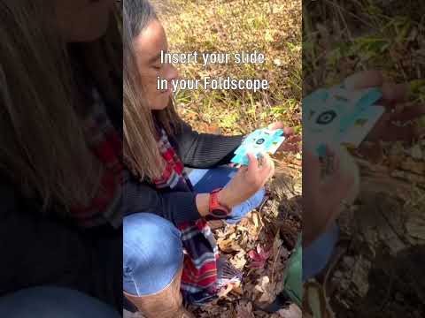 Explore with Foldscope, the paper microscope 🤓