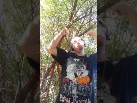 VIDEOTO1990S RAPPERMR. SHORT.KHOP 2001SONGDOLLAZ, DANK,&DRANKNOWREADYORNOT IN20208-29-2020