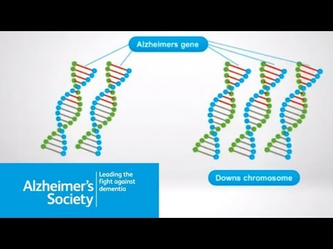 What are the rarer causes of dementia?