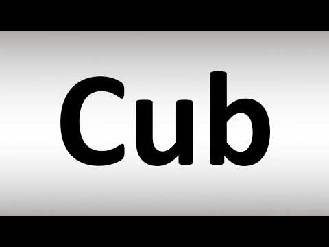 How to Pronounce Cub