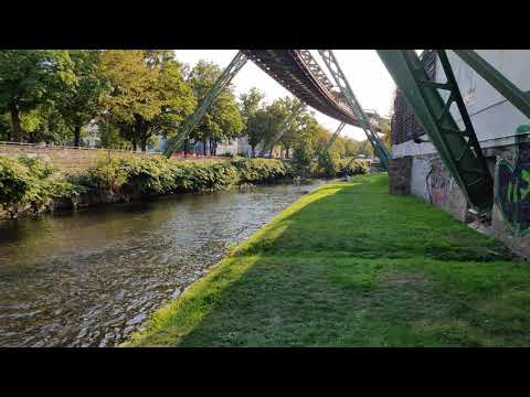 Gibt es freilaufende Elefanten an der Wupper unter der Schwebebahn?
