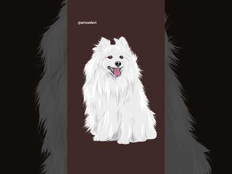 Pet Illustration #dogillustration #illustrator #digitalart