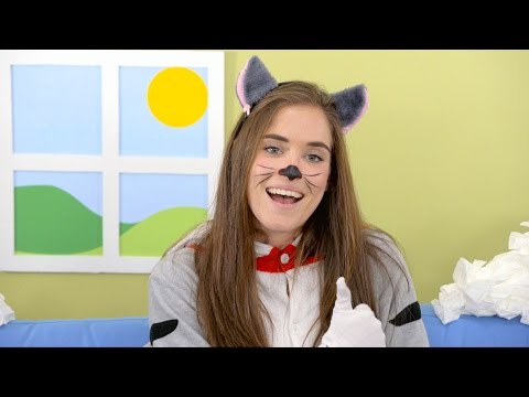 Addiction Cat Food | Chewy