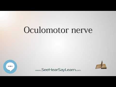 Oculomotor nerve - Know It ALL 🔊✅