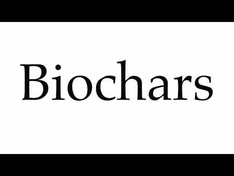 How to Pronounce Biochars
