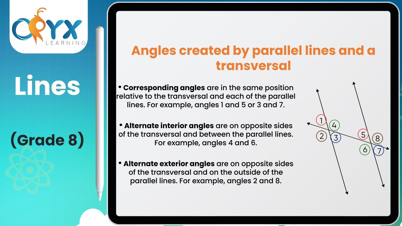 Lines | Grade 8 Math | Oryx Learning