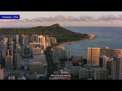 NEC's Digital ID : Institute for Human Services (Hawaii) Case Study [NEC Official]