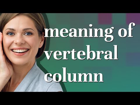 Vertebral column | meaning of Vertebral column