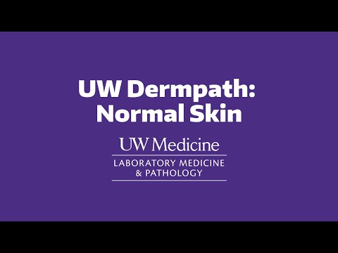 UW Dermpath: Normal Skin