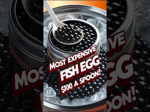 “Why This Fish Egg Costs More Than Gold!”