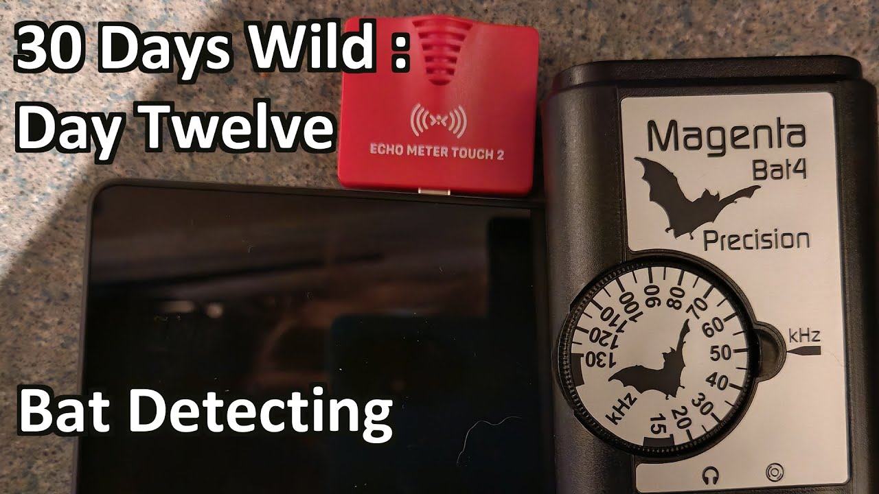 Bat detecting with the echo meter touch 2 and magenta bat 4 during 30 Days Wild
