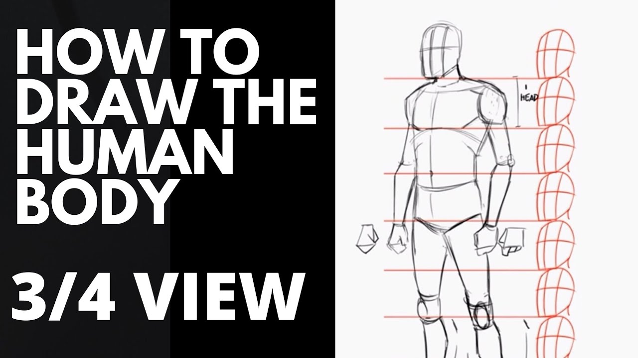 How To Draw The Human Body From 3/4 View