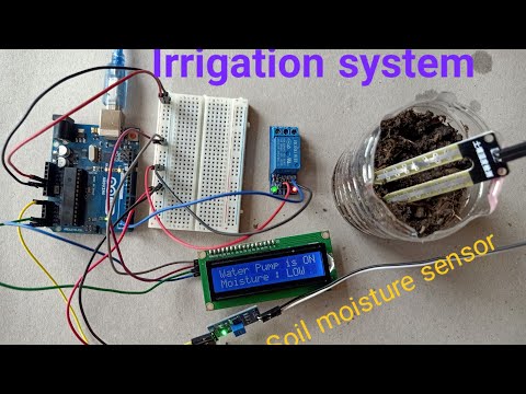 Soil Moisture Sensor - Plant Moisture Monitoring Sensor Latest Price ...