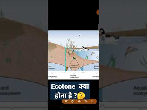 ecotone को समझिए || edge effect meaning in hindi|| ecology for UP TGT PGT,RPSC EXAMS