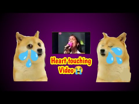 New Sad Funny Video || Funny Song Made By Bd Dog Posting ||