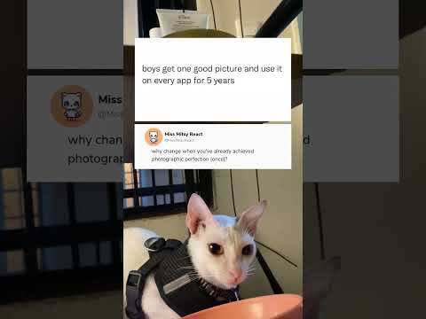 Boys and Their Iconic Profile Pictures 😂 #boy #funny #meme #cat #picture
