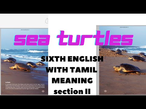 Sea turtles,sixth English,term one,with tamil meaning