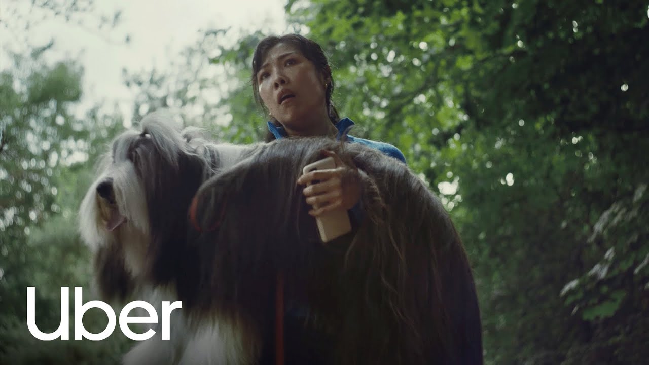 Tired Dogs | Uber