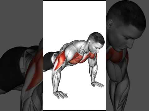 Burn Fat, Build Muscle: The Ultimate Full-Body Workout