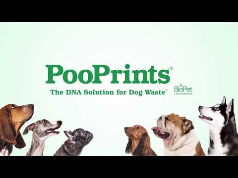 CSI for dog poop | DoggyMom.com