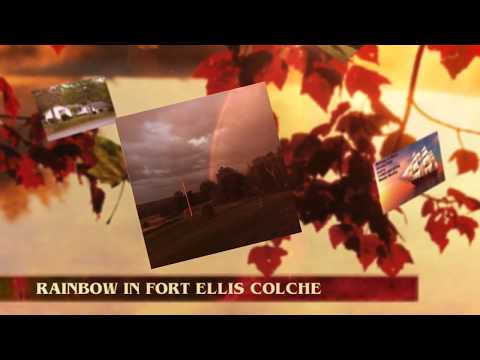 Homes Near Halifax Airport For Sale