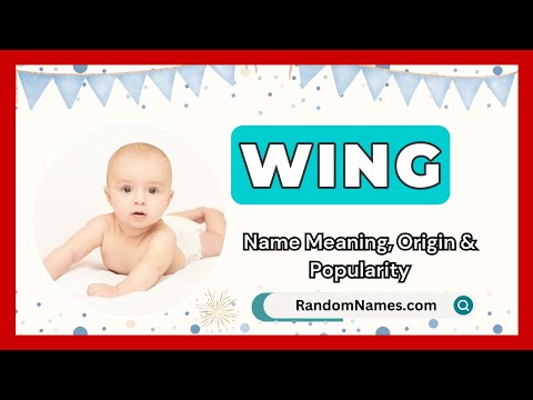 Wing - Baby Boy Name Meaning, Origin & Popularity - RandomNames.com