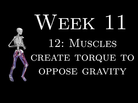 K305 Week 11 - 12 - Muscles create torque to oppose gravity
