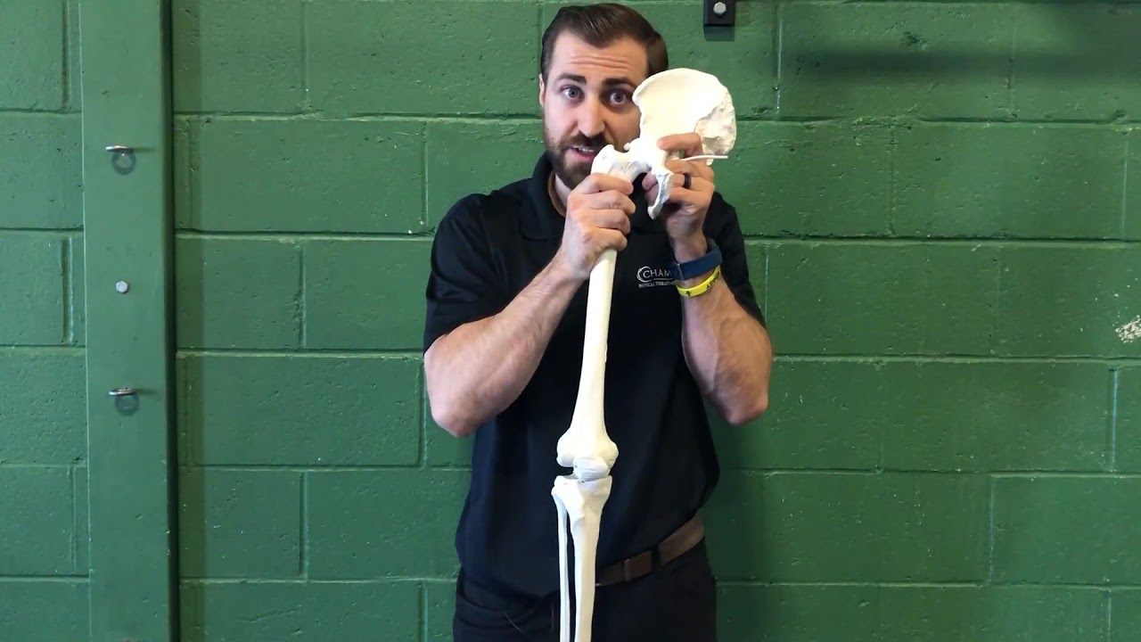 Explaining Hip Anteversion and How it Influences Optimal Squat Stance