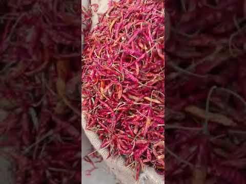 Chilli - Wholesale Price & Mandi Rate for Fresh Chilli