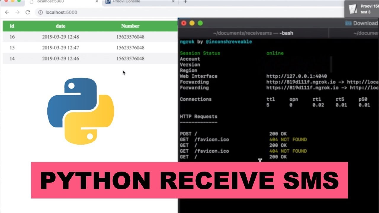 Python receive SMS project tutorial with SMS API connection