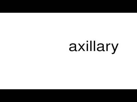 How to pronounce axillary