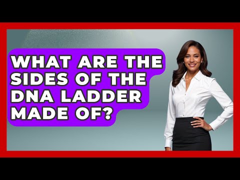 What Are The Sides Of The DNA Ladder Made Of? - Biology For Everyone