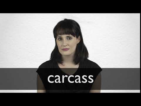 CARCASS Synonyms | Collins English Thesaurus
