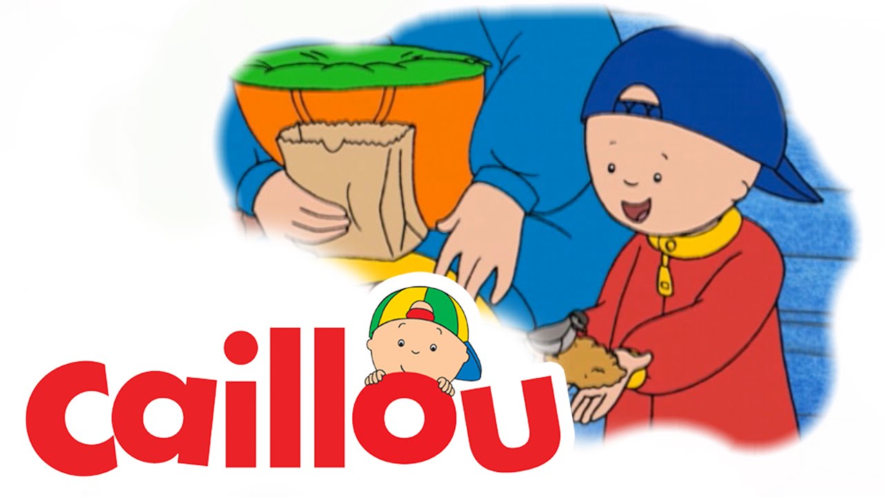 Caillou - Caillou Goes Birdwatching  (S01E58) | Videos For Kids