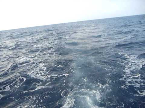 Sri Lanka,ශ්රී ලංකා,Fishing Trip on a Trawler:Tuna Line Fishing (21)