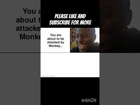 Monkey... D Luffy #memes #funny #music