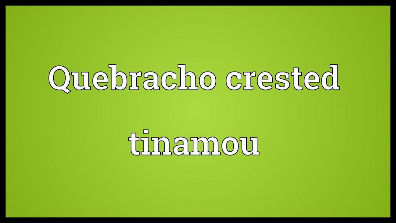 Quebracho crested tinamou Meaning