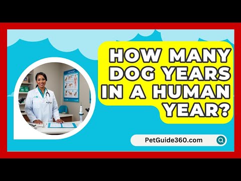 How Many Dog Years In A Human Year? - PetGuide360.com