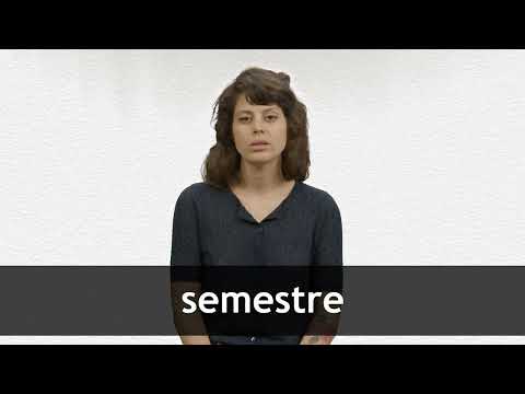 English Translation of “SEMESTRE” | Collins French-English Dictionary