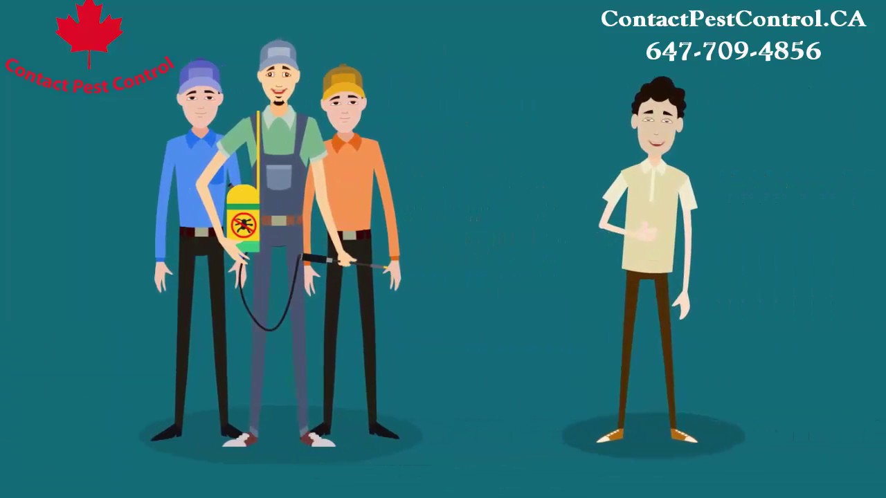 Contact Pest Control