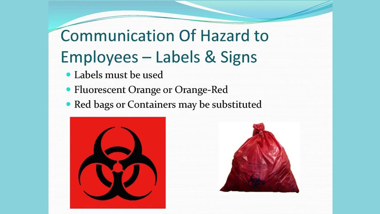 BBP 2025 Final Daft Presentation Video