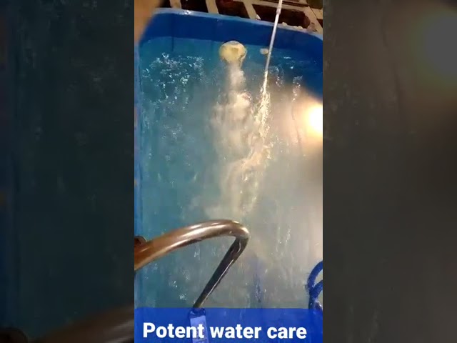 Swimming Pool Counter Current System - Wall Hanging Counter Current ...