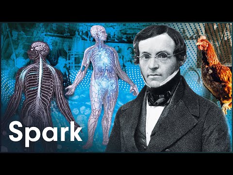 The Fantastical World Of Hormones With Dr John Wass (Full Biology ...