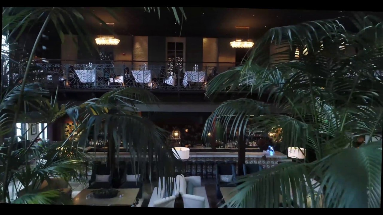 Bar Vasquez