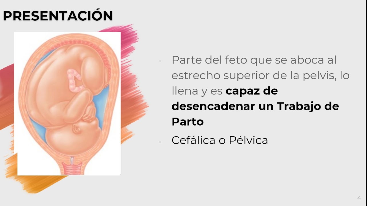 ESTÁTICA FETAL Y MANIOBRA DE LEOPOLD